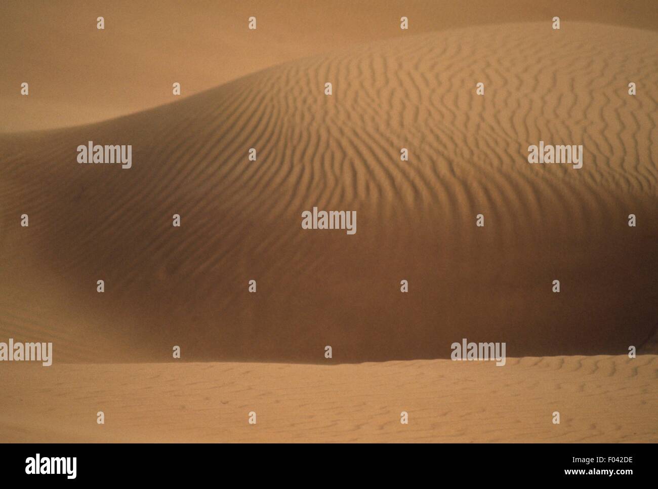 Lines of sand shaped by the wind, Arabian Desert, United Arab Emirates ...