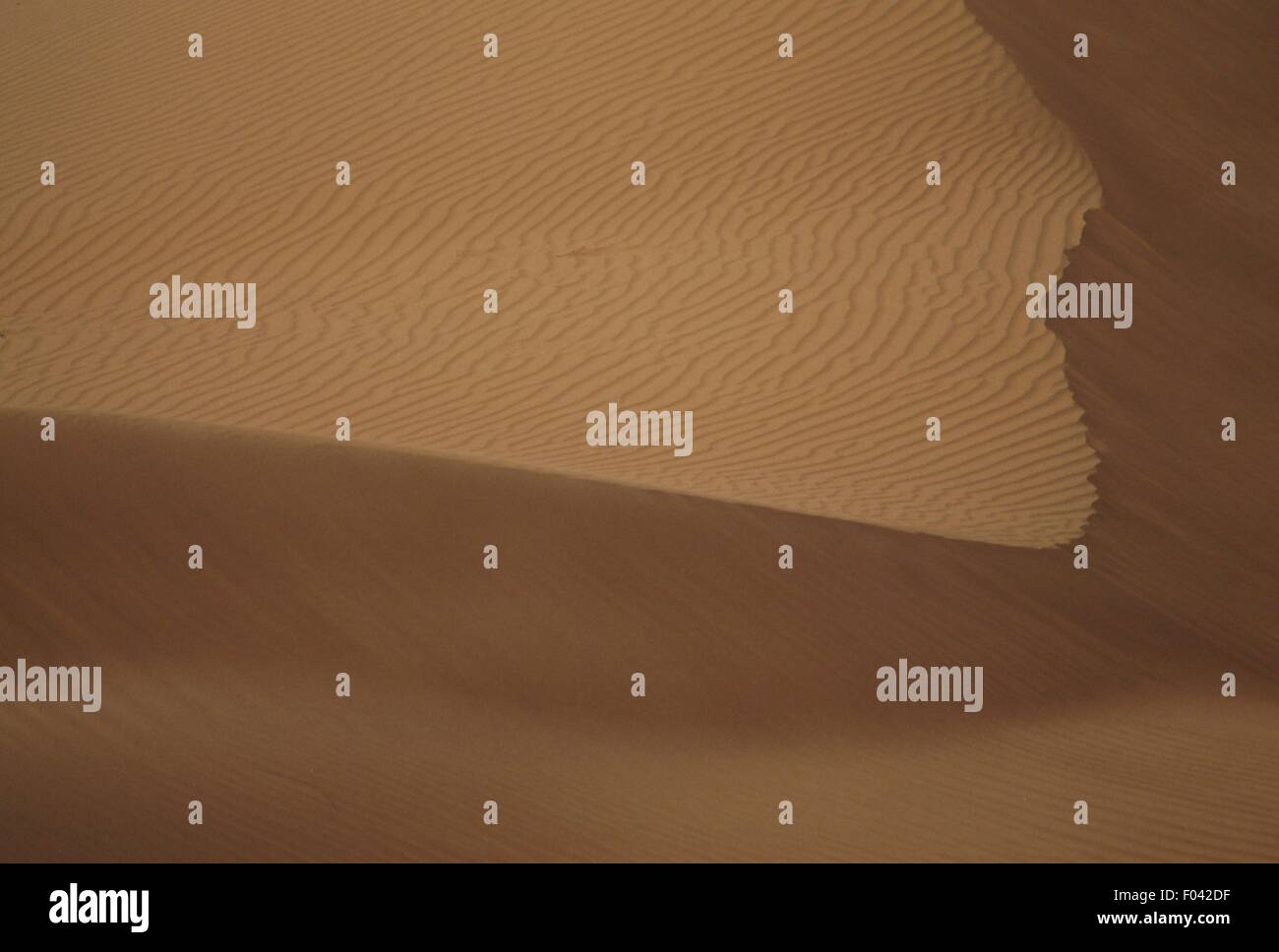 Lines of sand shaped by the wind, Arabian Desert, United Arab Emirates ...