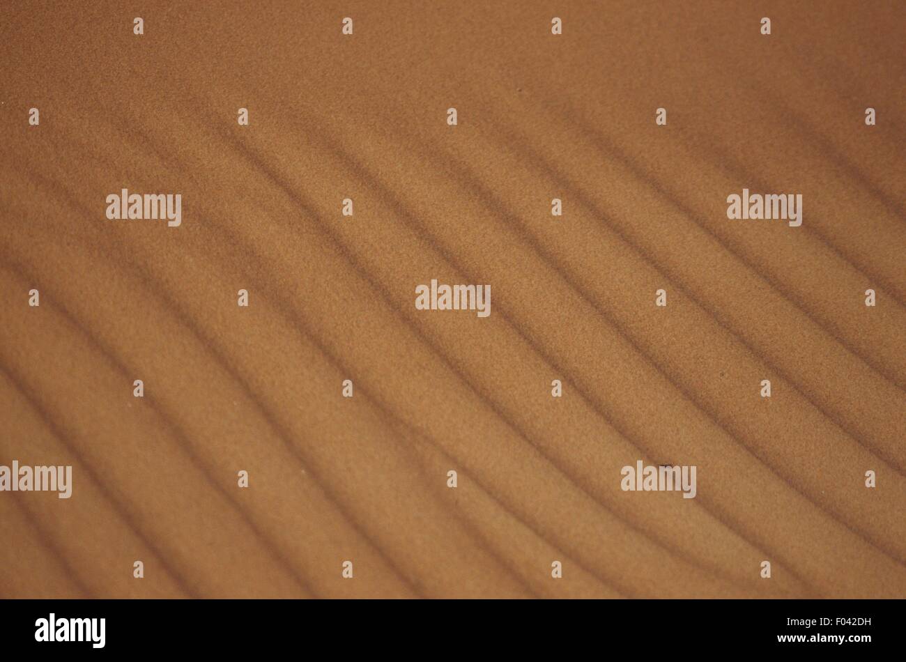 Lines sand shaped wind hi-res stock photography and images - Alamy