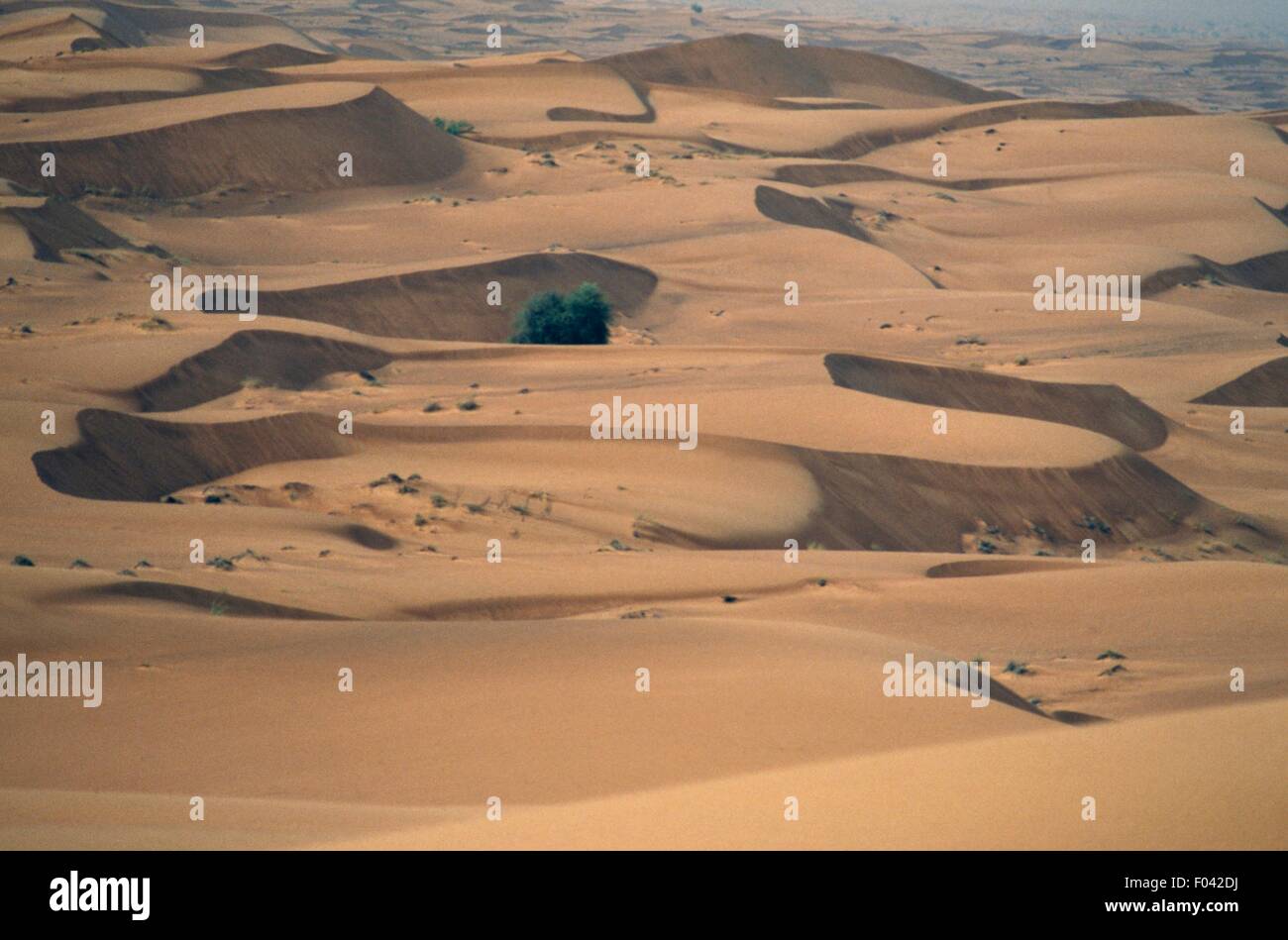 Desert landscape, Arabian Desert, Dubai, United Arab Emirates Stock ...