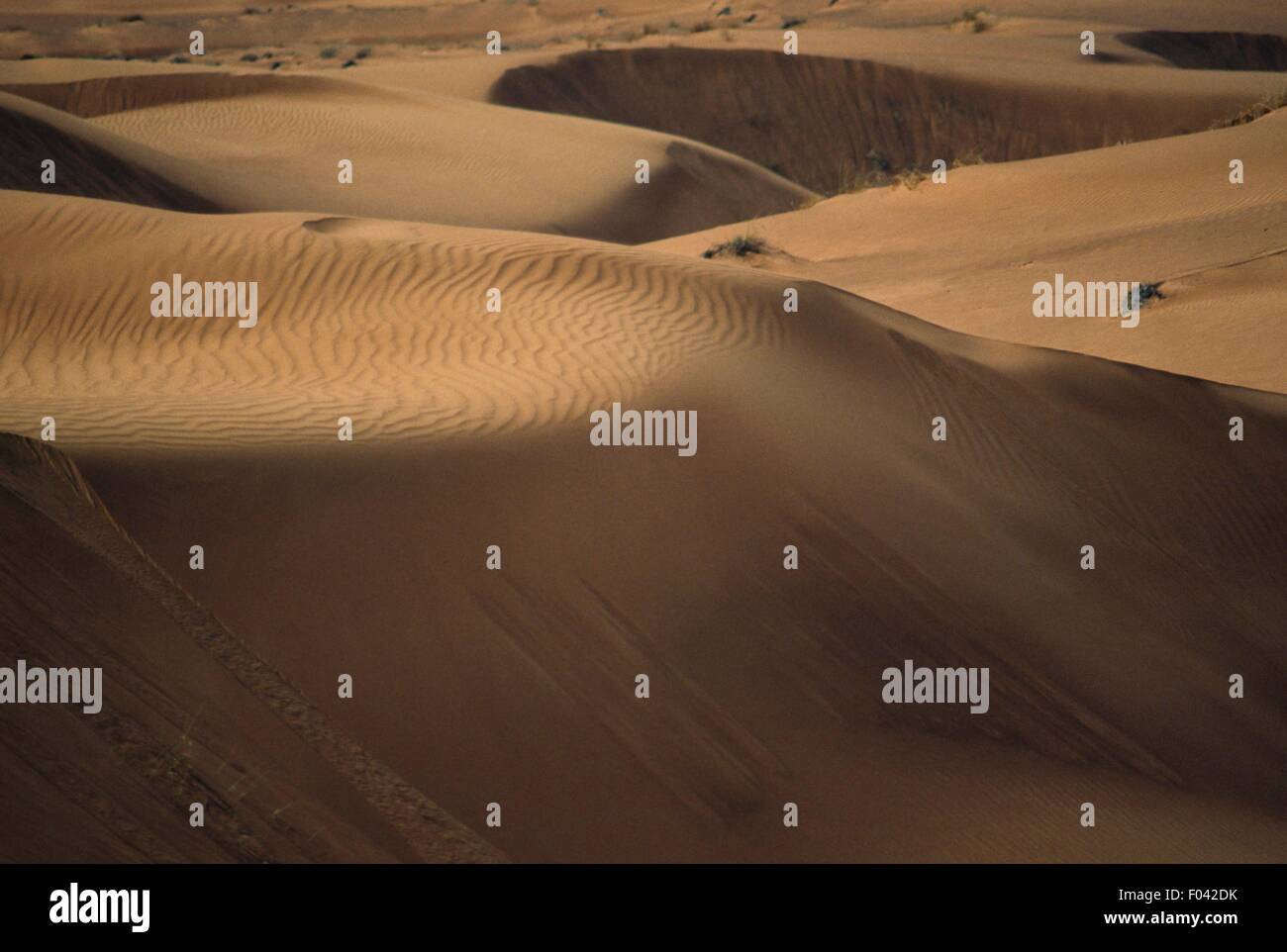 Sand dunes, Arabian Desert, Dubai, United Arab Emirates Stock Photo - Alamy