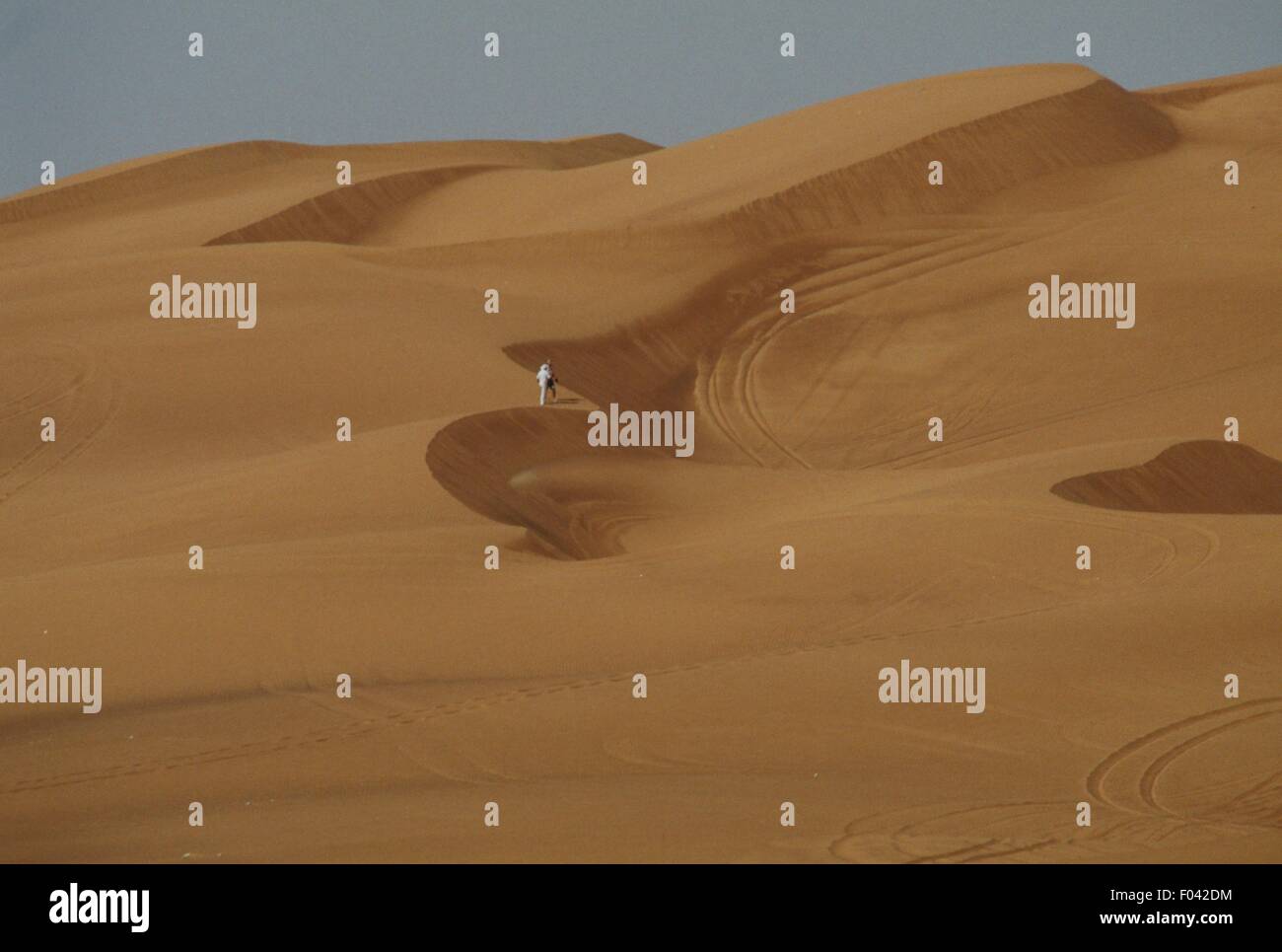 Desert landscape, Arabian Desert, Dubai, United Arab Emirates Stock ...