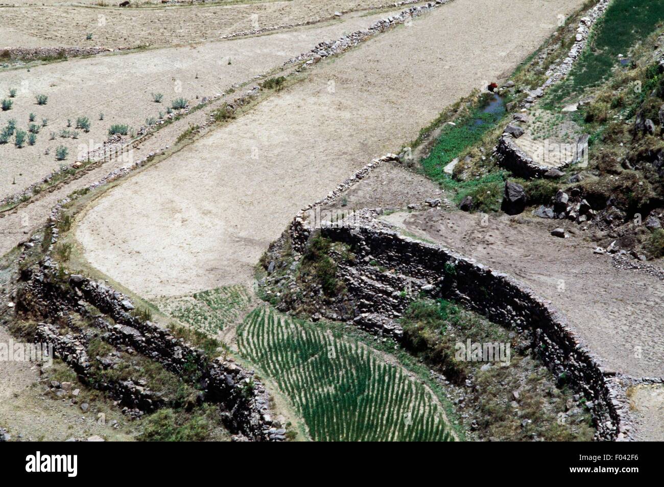 Fields yemen agriculture hi-res stock photography and images - Alamy
