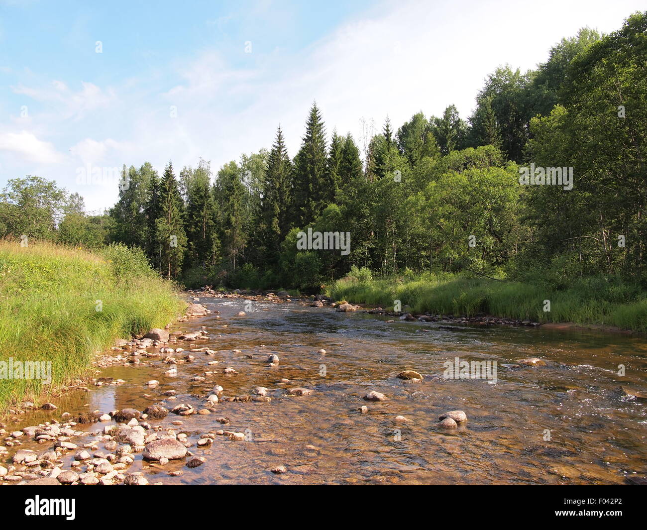 Gauja national park hi-res stock photography and images - Alamy