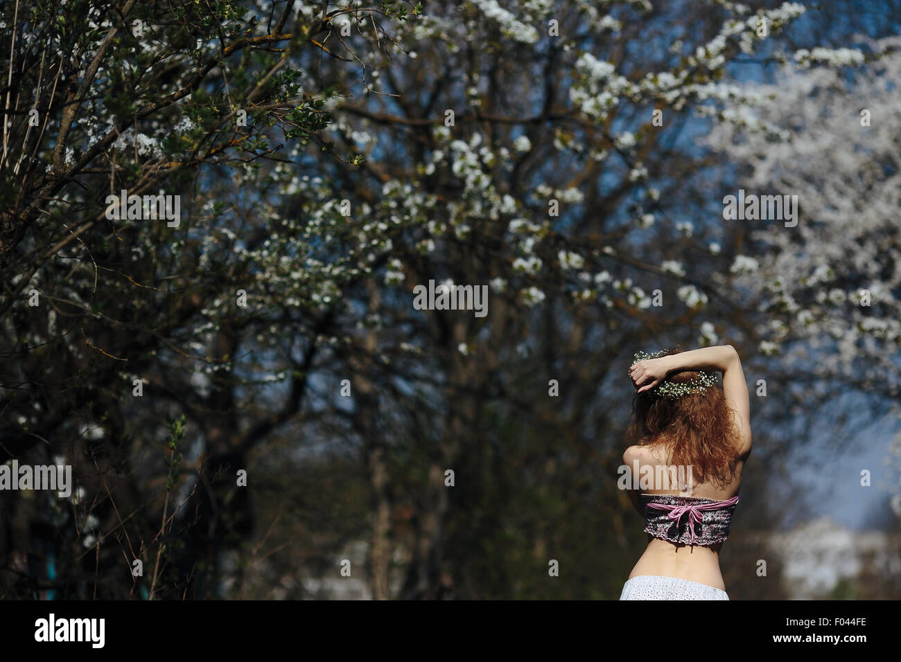 Portrait of a beautiful girl flowering trees Stock Photo - Alamy