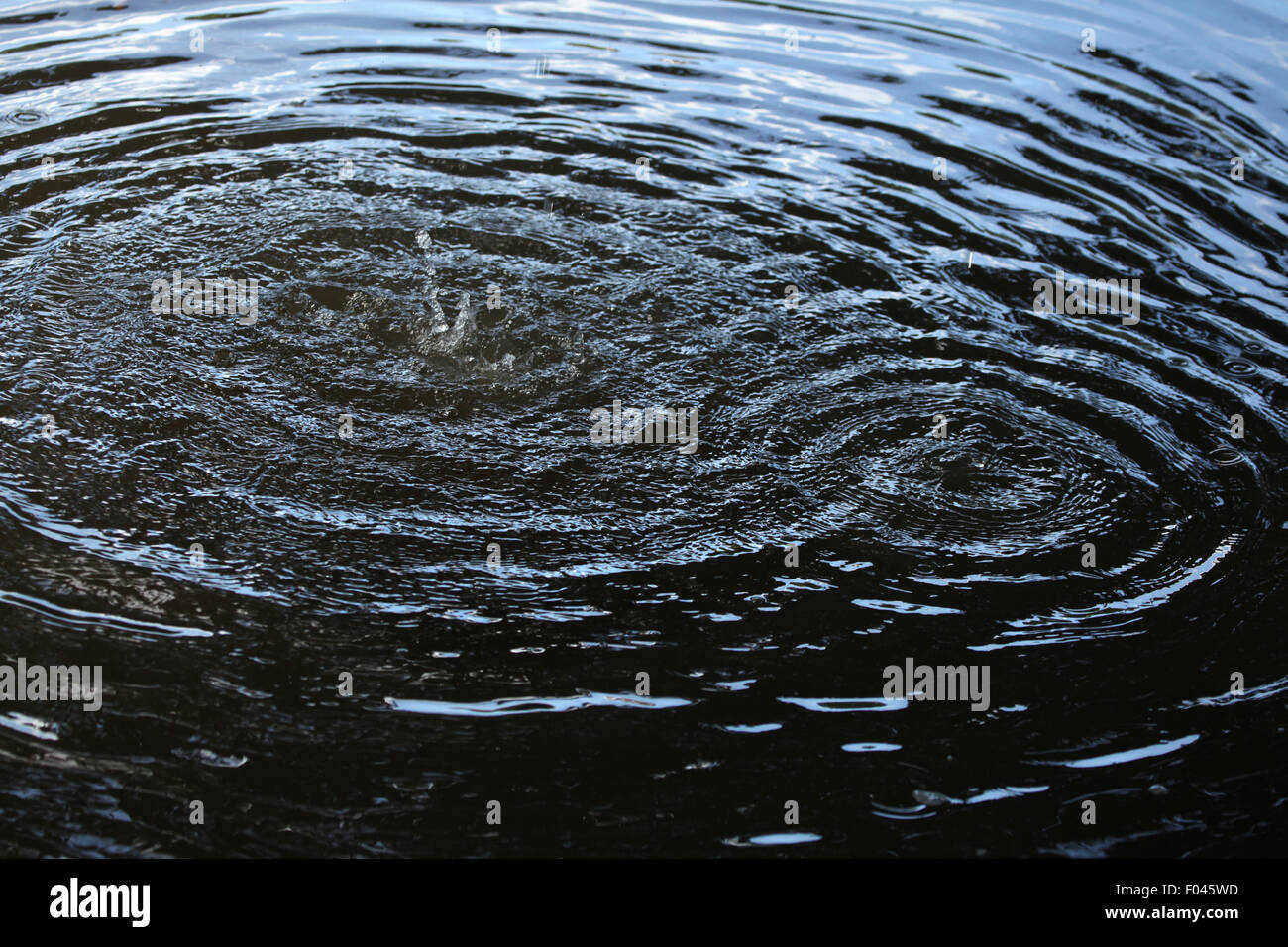 Capillary waves produced by two droplets in water surface Stock Photo ...