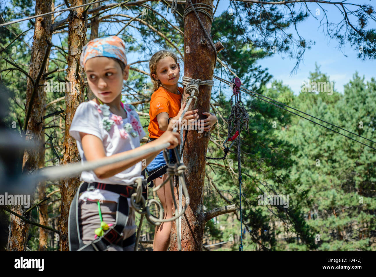 Scouts climbing on a high ropes course in Ukrainian scout training camp ...