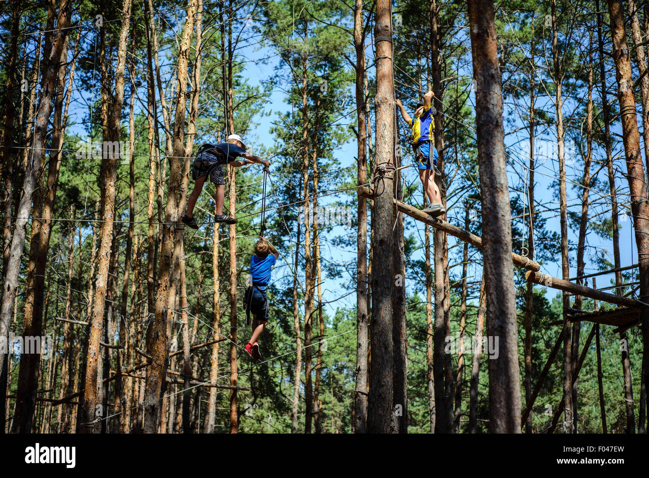 Children tree walking ropes hi-res stock photography and images - Alamy