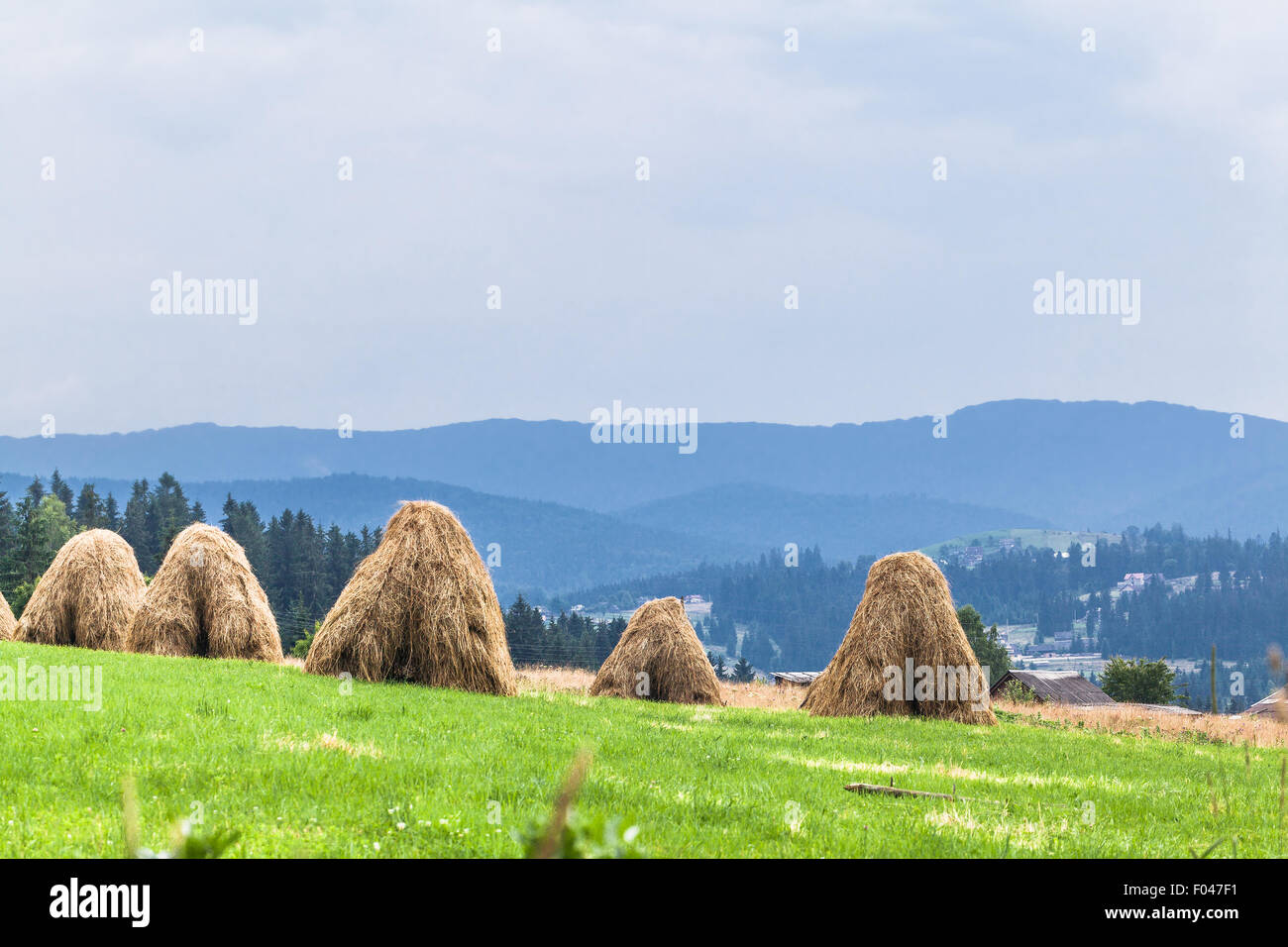 rural landscape, sheaves of hay in the Carpathians Stock Photo - Alamy