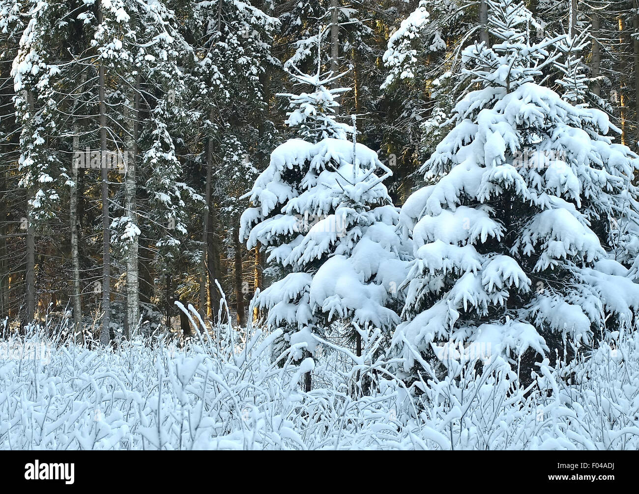 Magical snow covered country hi-res stock photography and images - Alamy
