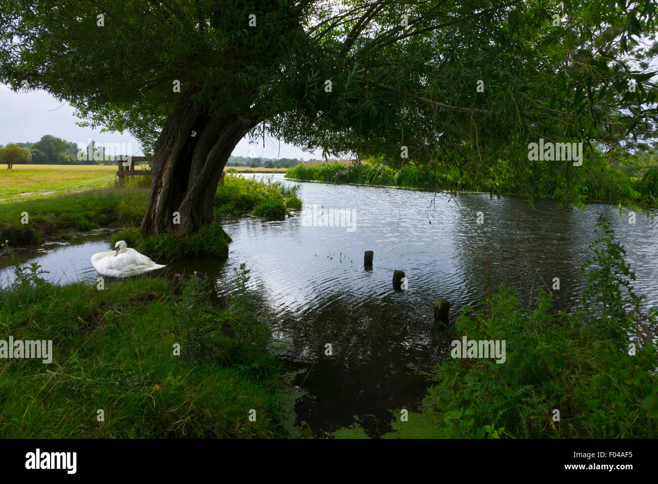 River Stour Dedham vale Stock Photo - Alamy