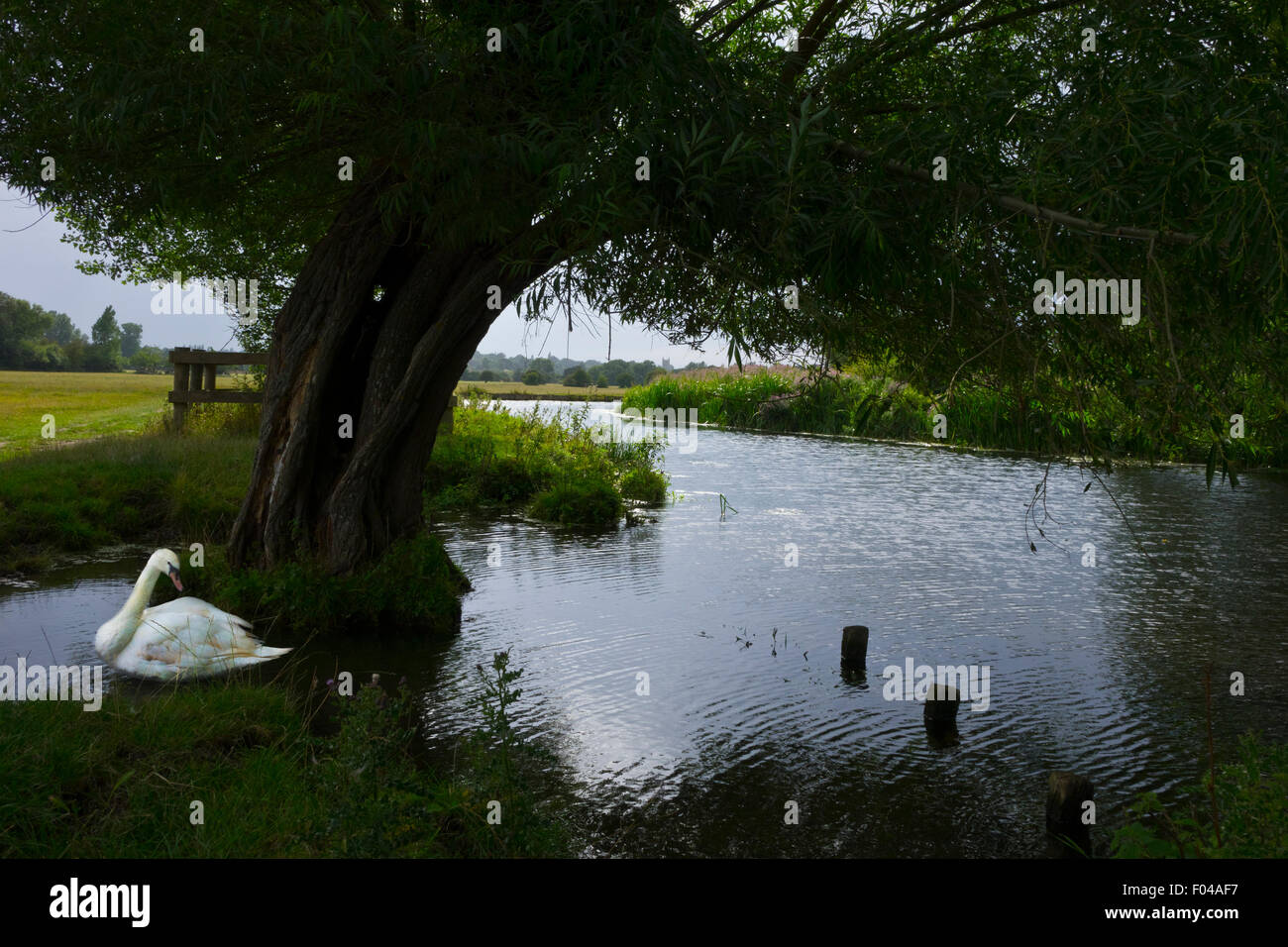 River Stour Dedham vale Stock Photo - Alamy