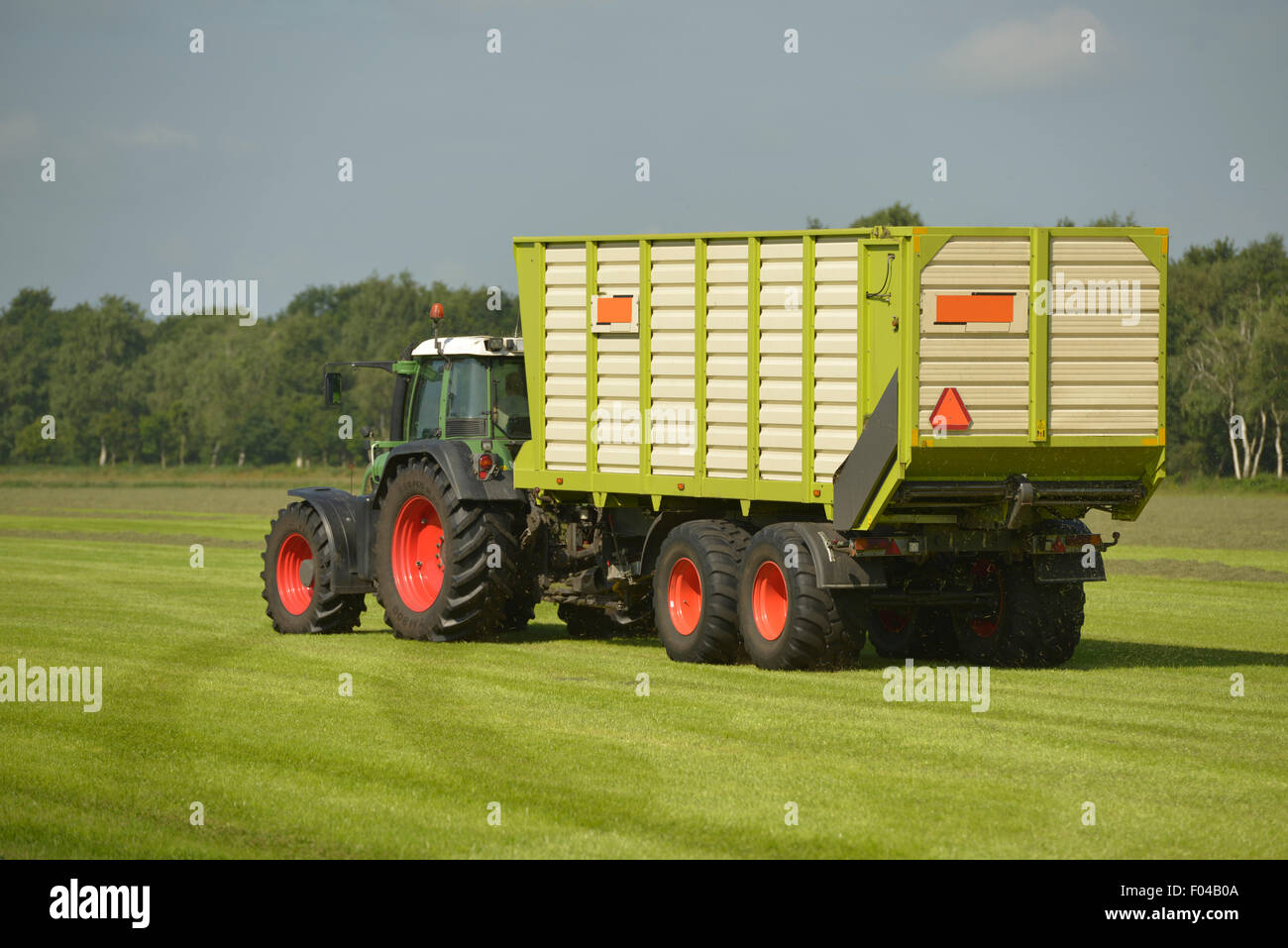 Transport of cut grass with green tractor and grass trailer Stock Photo ...