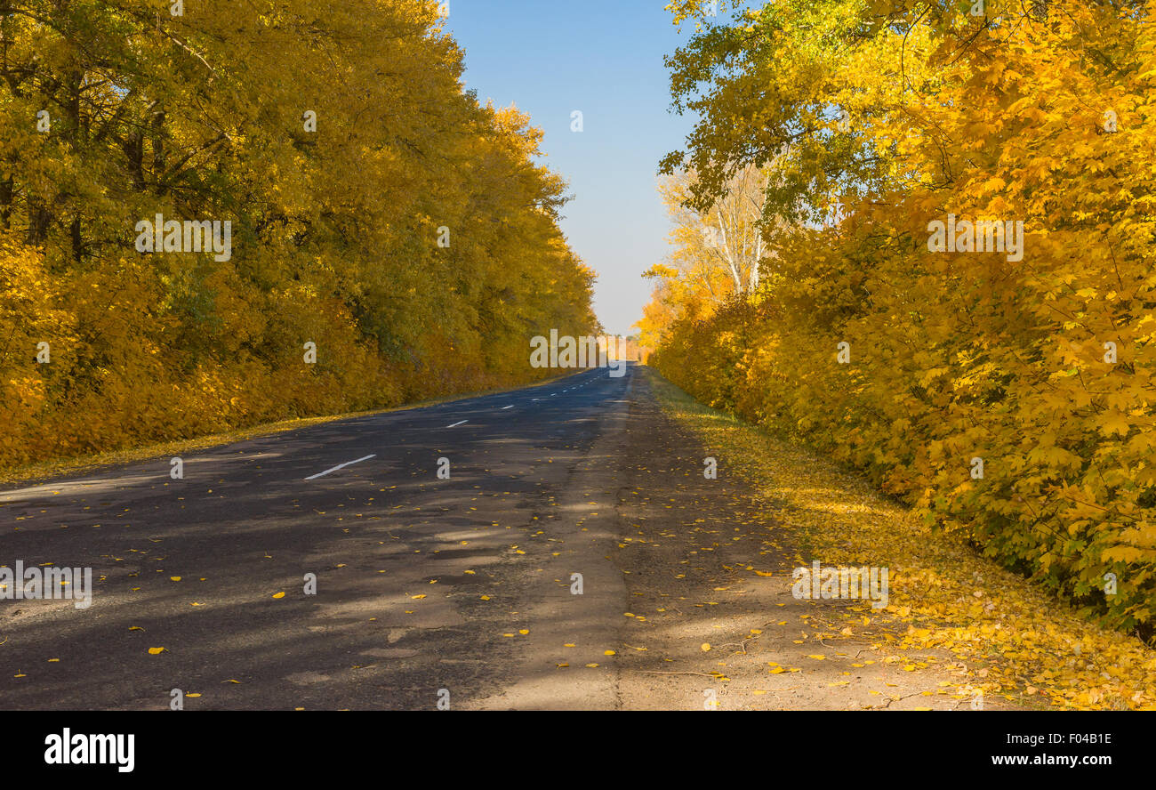 Empty rural road hi-res stock photography and images - Alamy