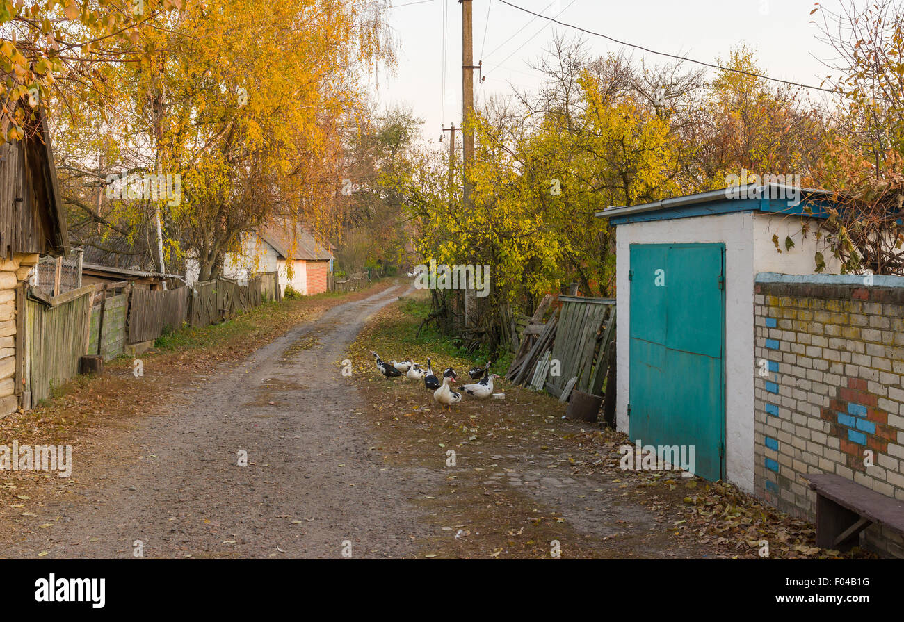 Small street in remote Ukrainian village at fall season Stock Photo - Alamy