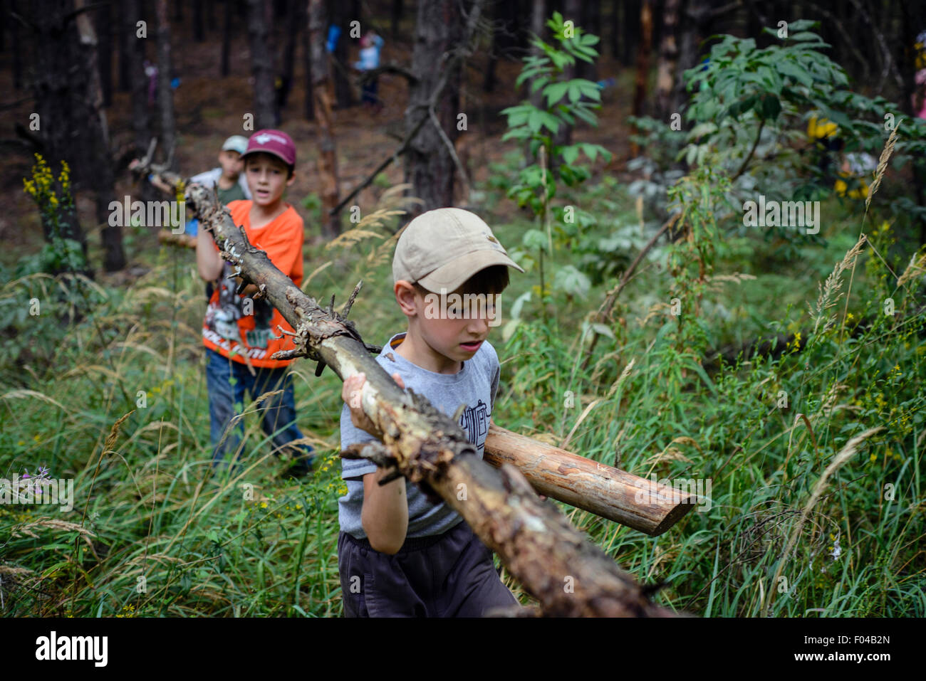 Boy scouts carrying log in a forest, Ukrainian scout training camp ...
