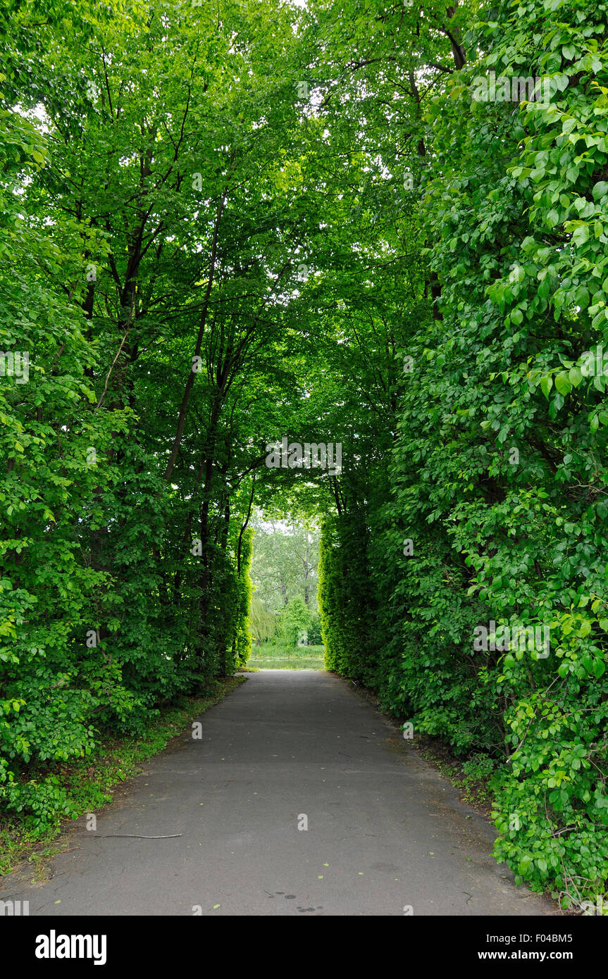 Gate topiary hi-res stock photography and images - Alamy