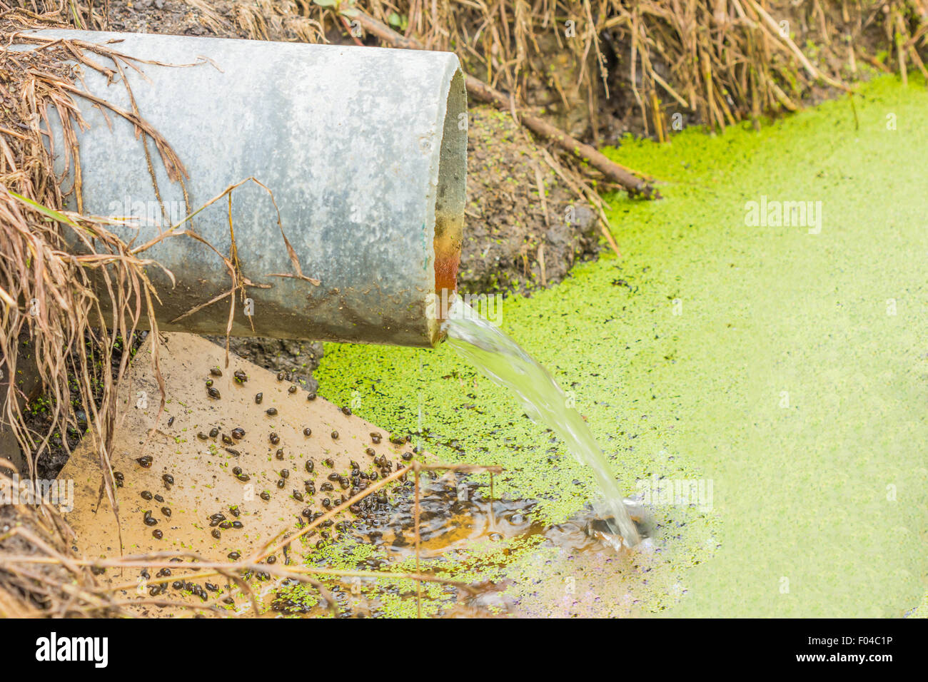 Water running from pipe hi-res stock photography and images - Alamy