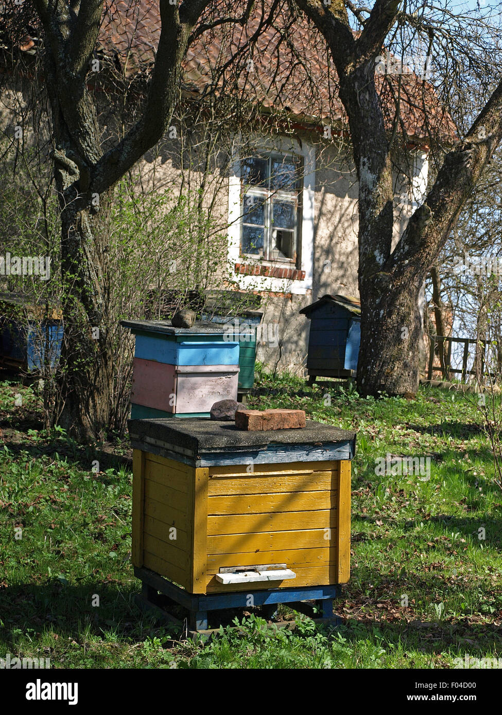 Hives in a garden Stock Photo - Alamy
