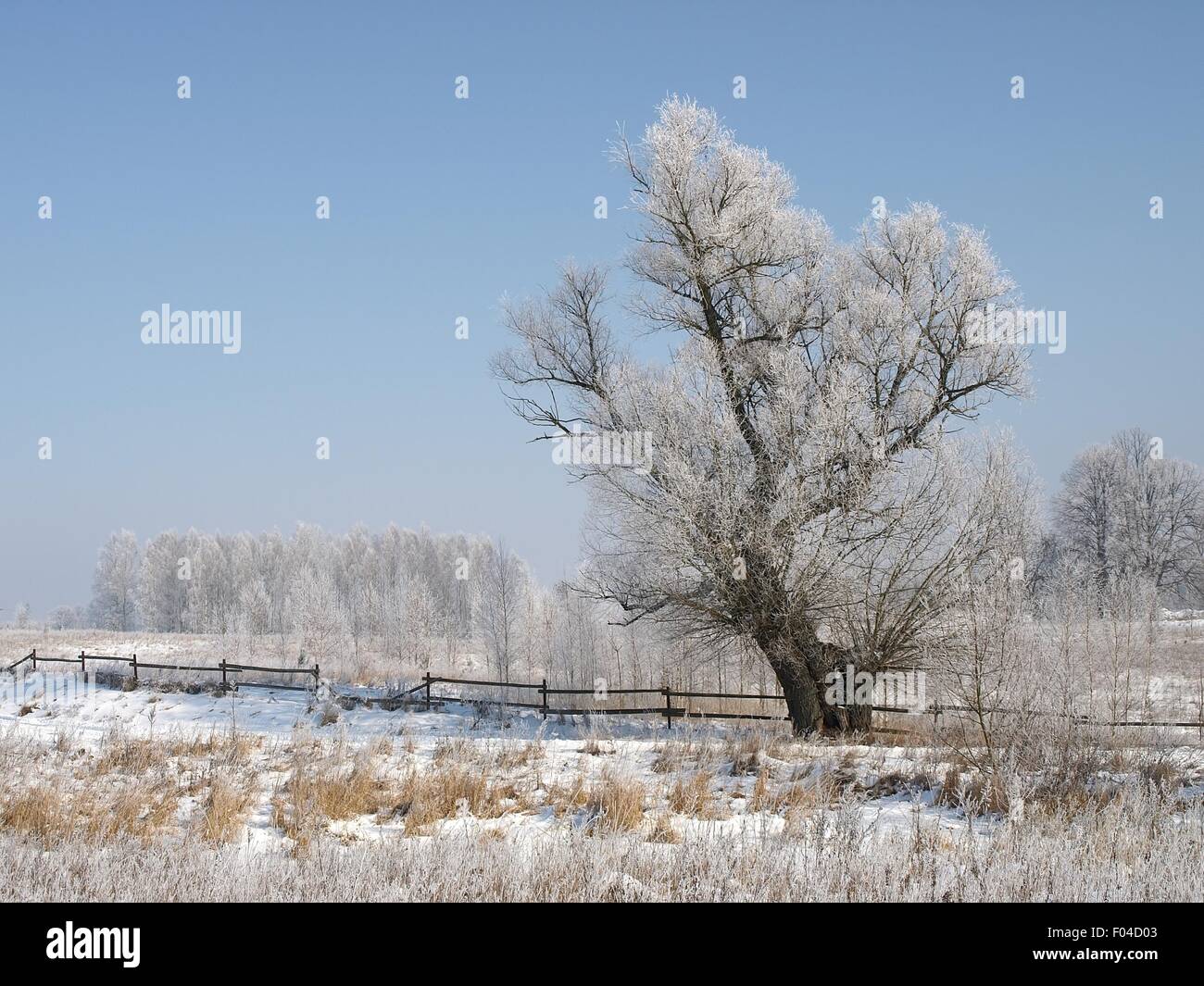 Winter country landscape Stock Photo - Alamy