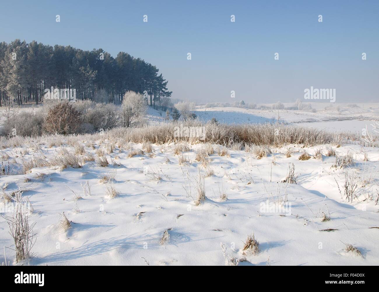 Winter country landscape Stock Photo - Alamy