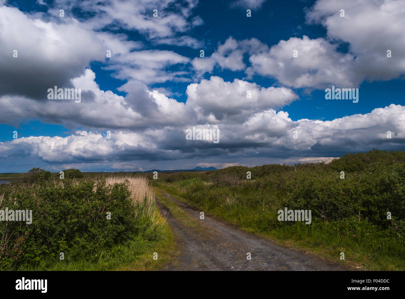A muddy single track through the Isle of Islay countryside, Scotland ...