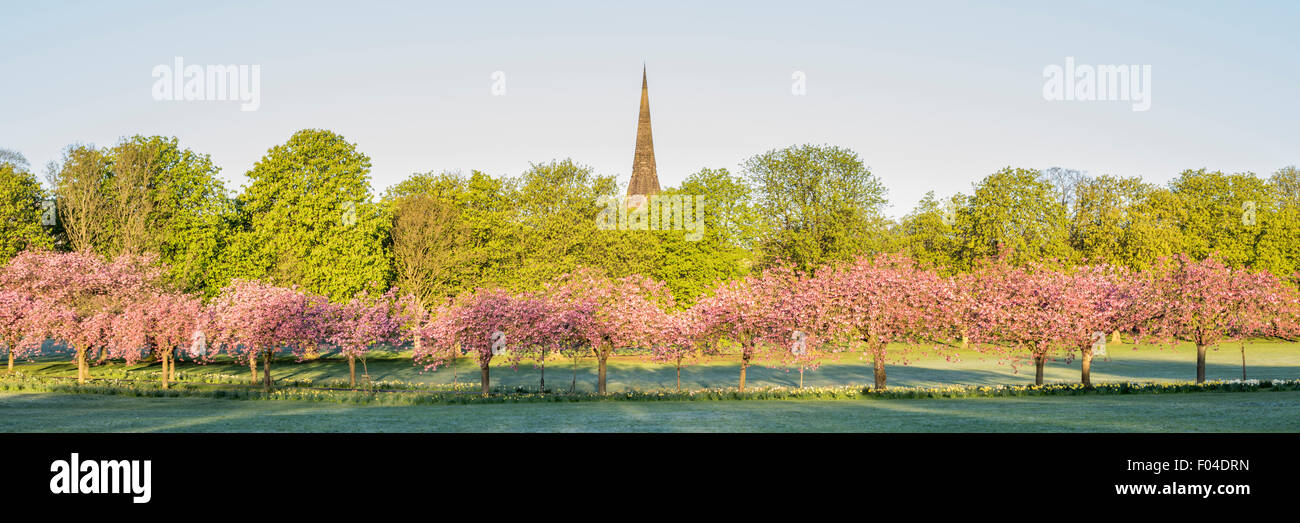 The stray harrogate hi-res stock photography and images - Alamy
