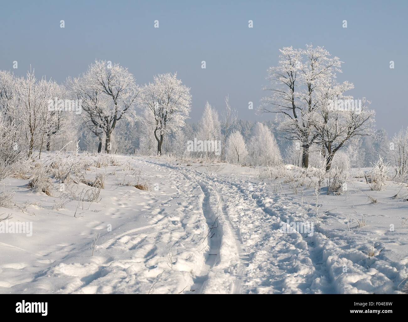 Winter country landscape Stock Photo - Alamy