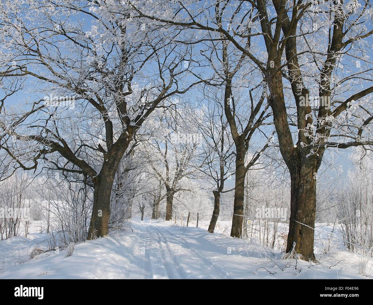 Winter country landscape Stock Photo - Alamy