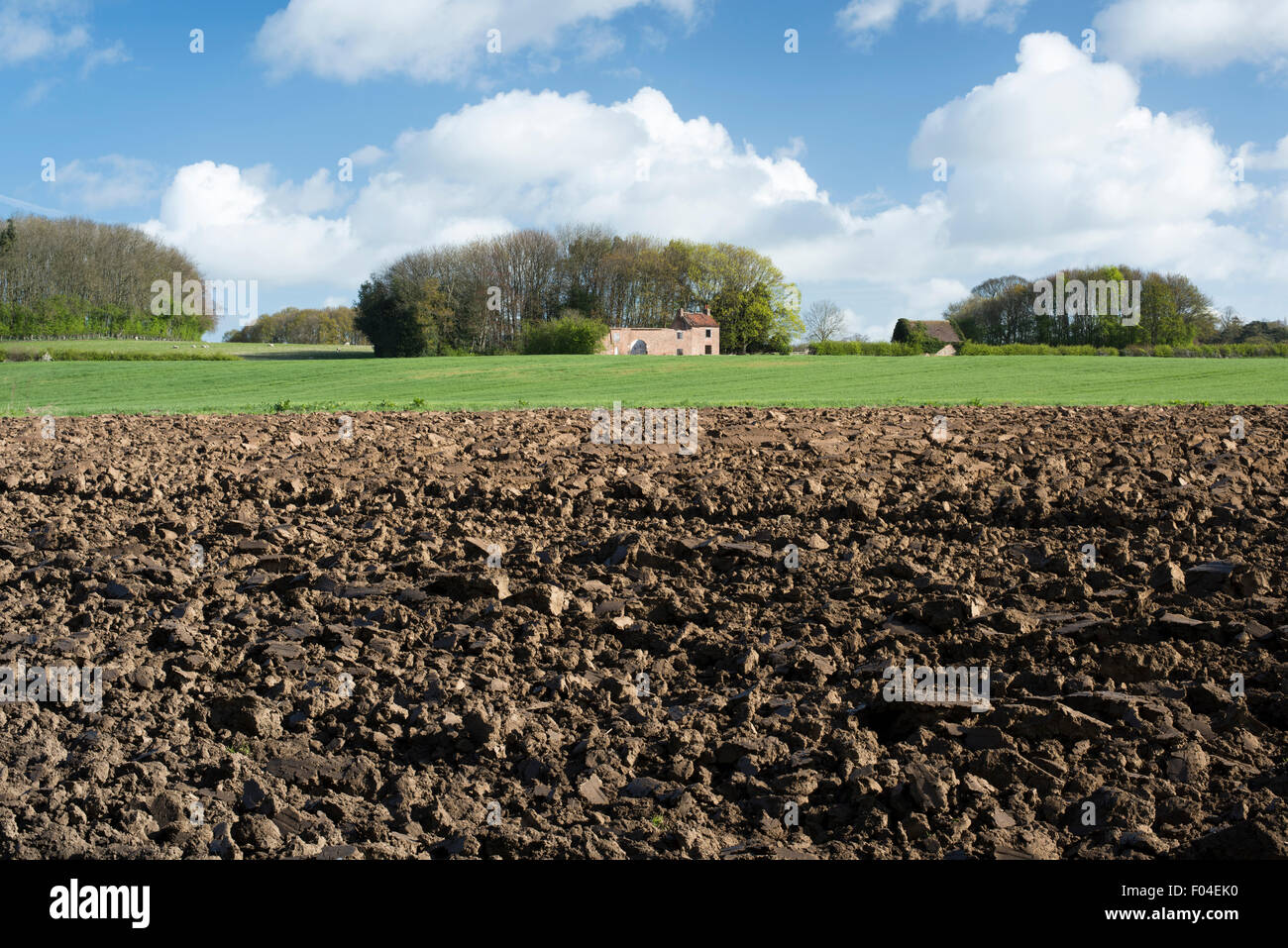 Ruined farm house near Ripon, North Yorkshire Stock Photo - Alamy
