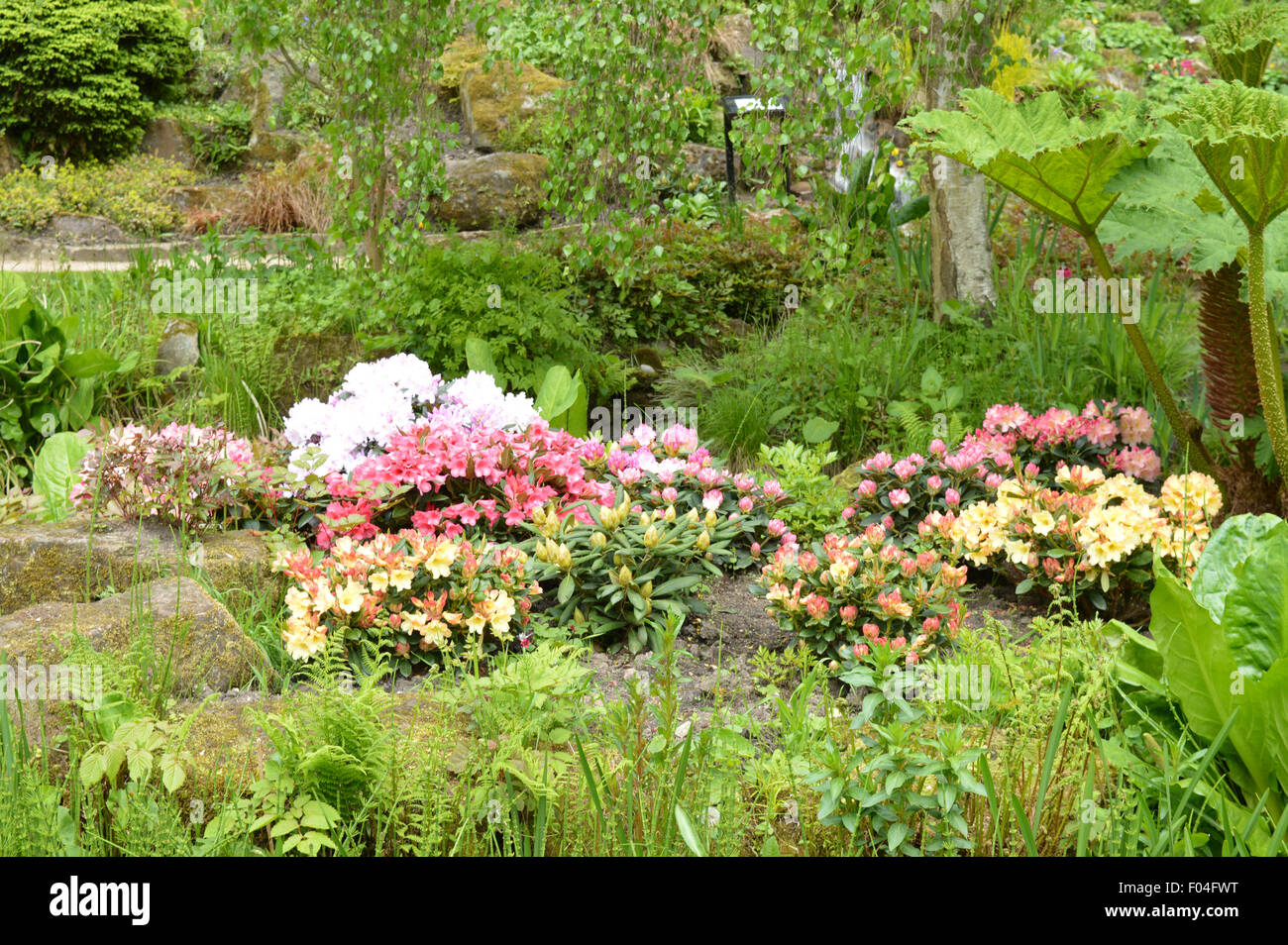 beautiful and bright landscape Stock Photo - Alamy