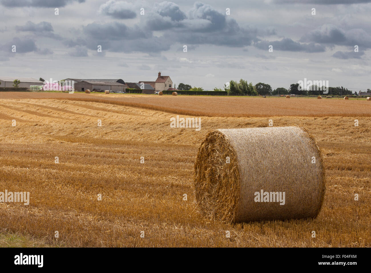 Bail and wrap hi-res stock photography and images - Alamy