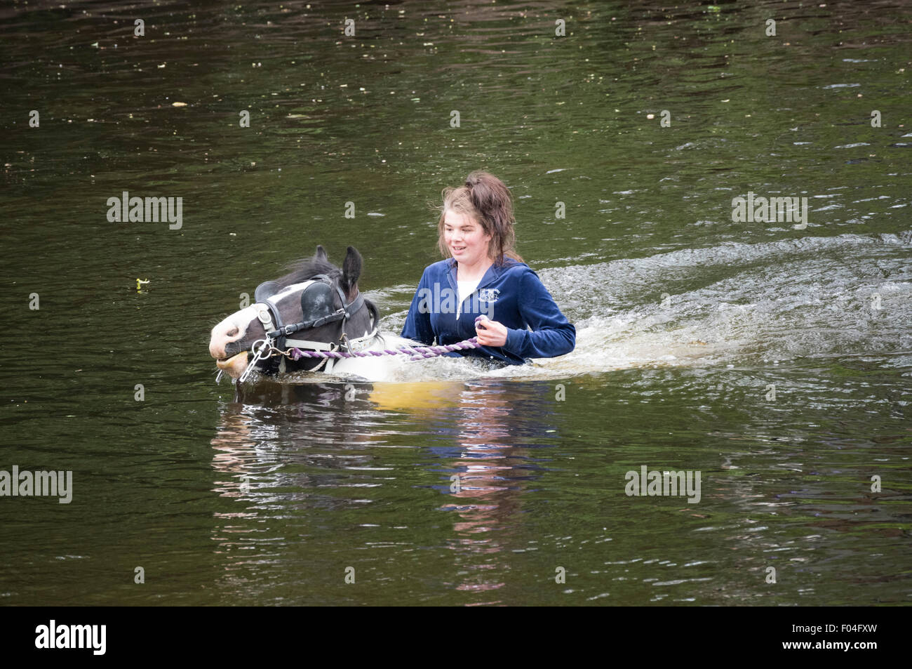 Appleby horse fair, Appleby-in-Westmorland, Cumbria Stock Photo - Alamy
