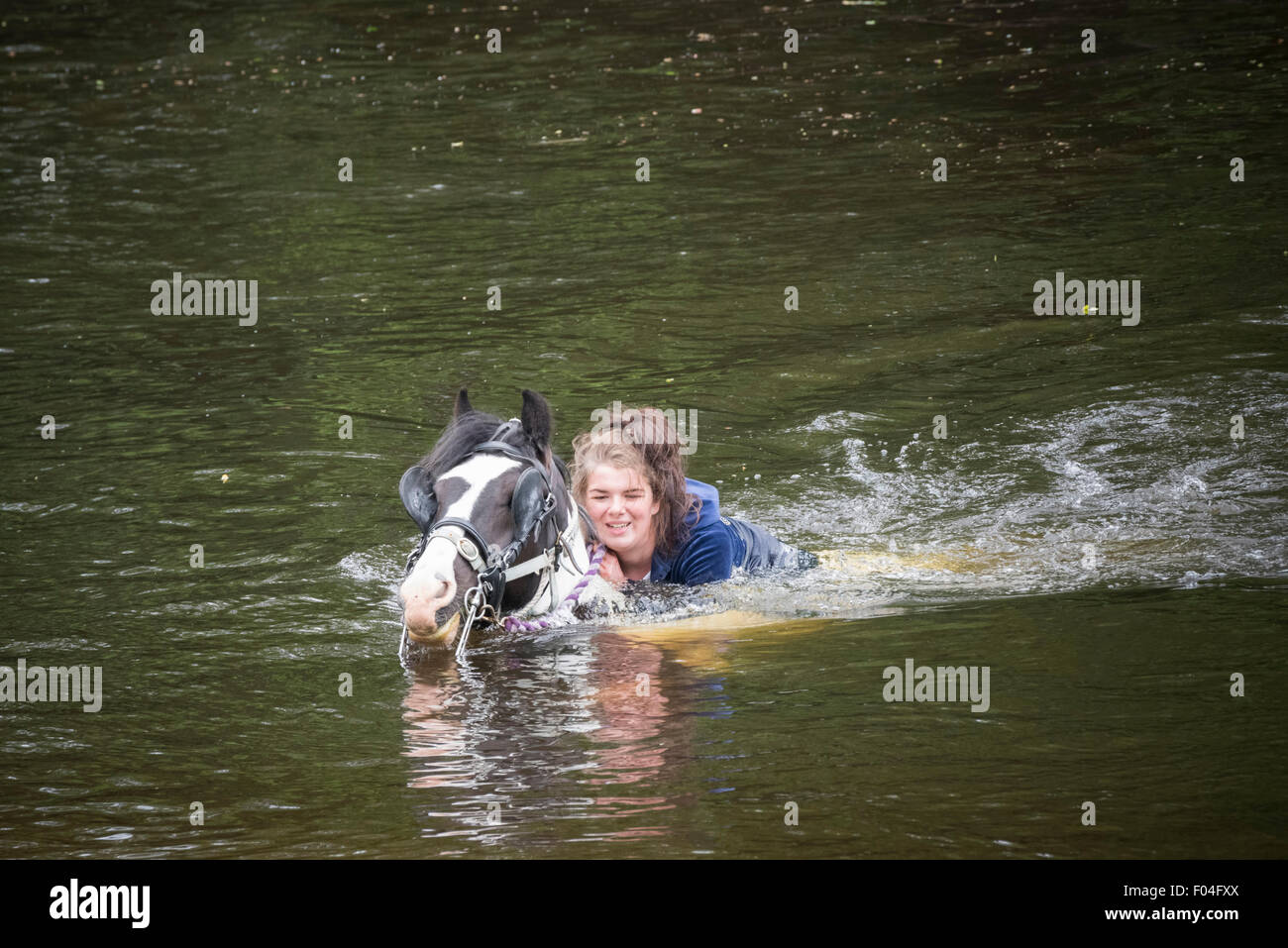 Appleby horse fair appleby in westmorland cumbria hi-res stock ...