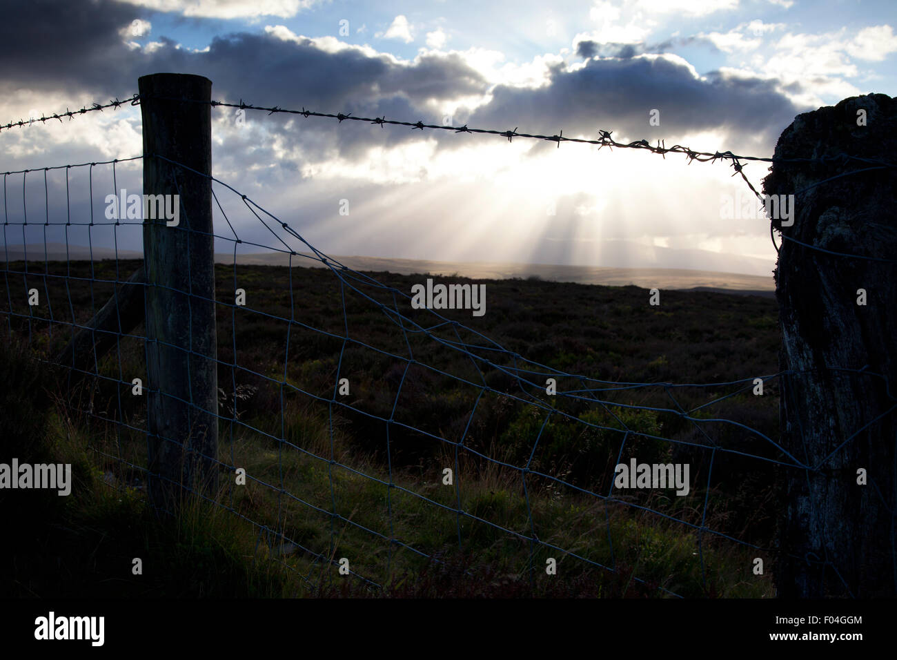 Photograph by © Jamie Callister. The Ruins of Haunted Gwylfa Hiraethog ...
