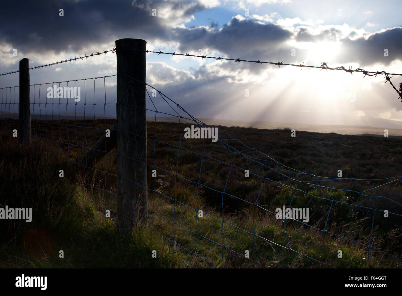 Photograph by © Jamie Callister. The Ruins of Haunted Gwylfa Hiraethog ...