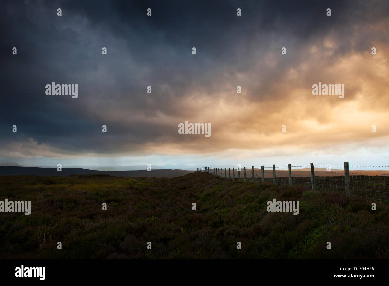 Photograph by © Jamie Callister. The Ruins of Haunted Gwylfa Hiraethog ...