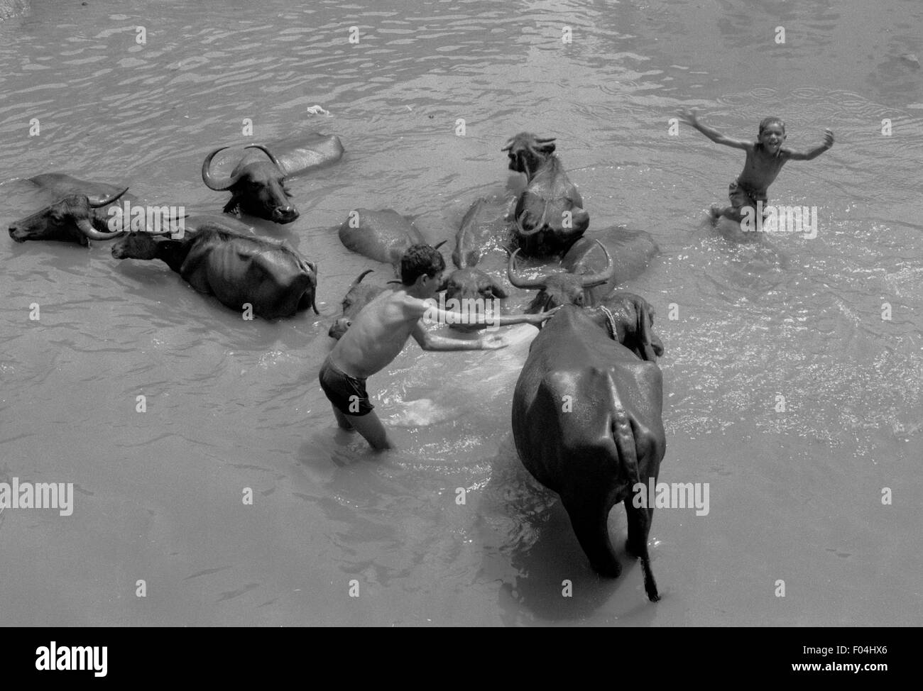 Children animals water buffalo hi-res stock photography and images - Alamy