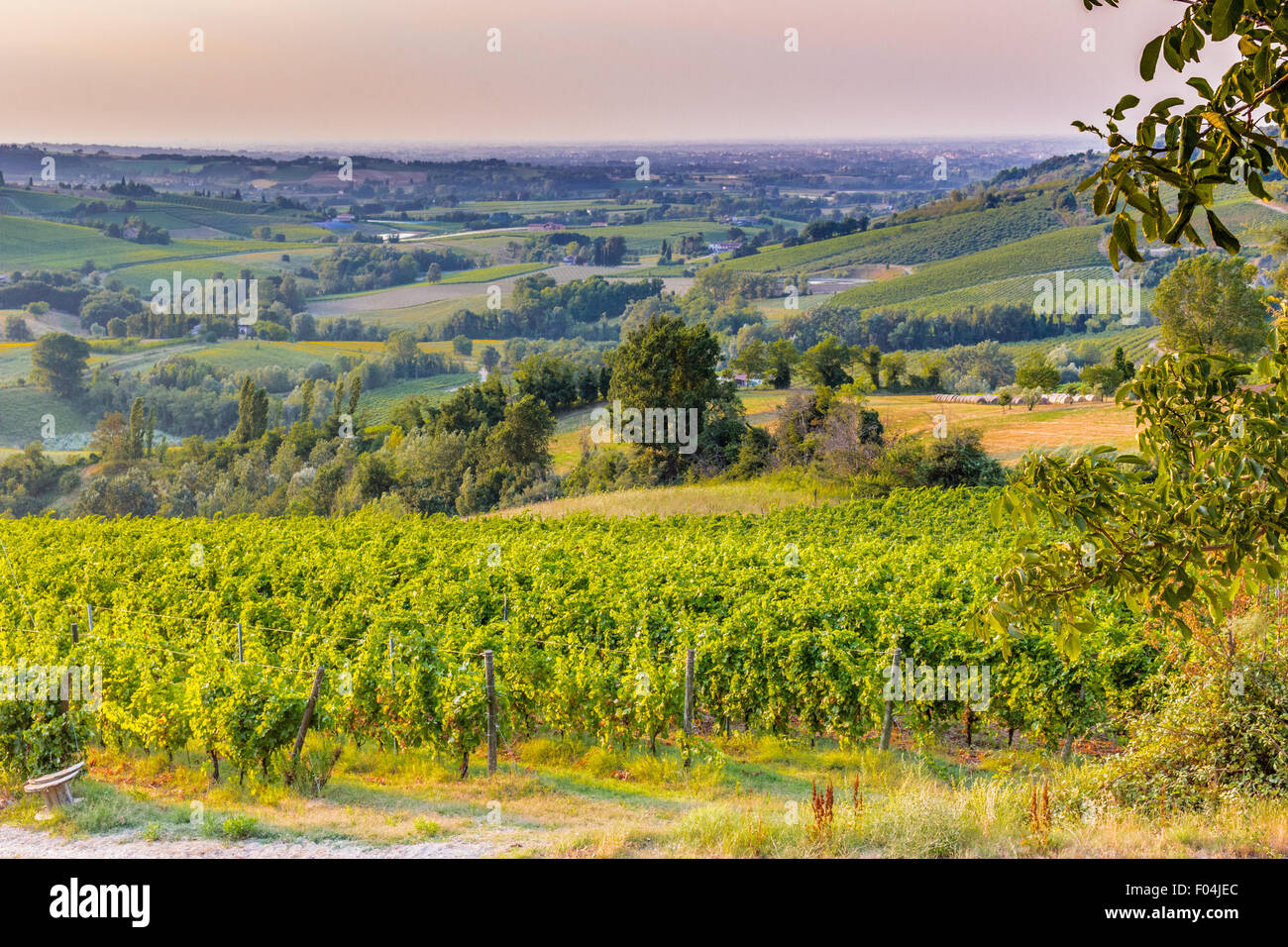 Organic farming in hill hi-res stock photography and images - Alamy