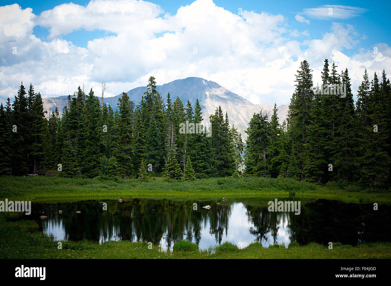 196 feet hi-res stock photography and images - Alamy