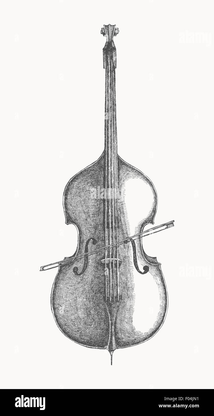 Upright Bass Drawing