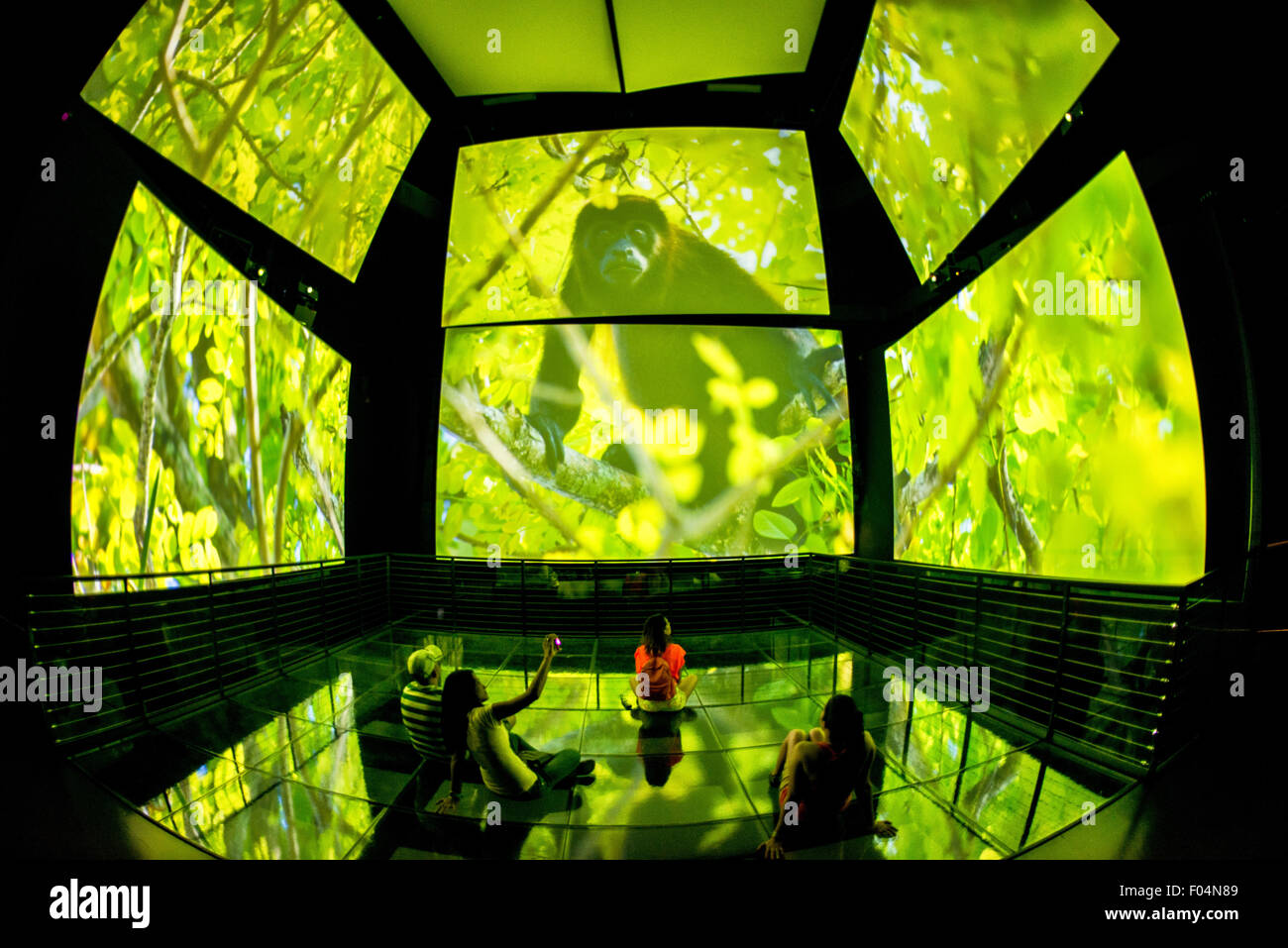 Biodiversity museum panama hi-res stock photography and images - Alamy