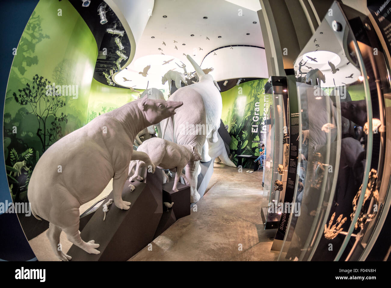 Biomuseo interior hi-res stock photography and images - Alamy