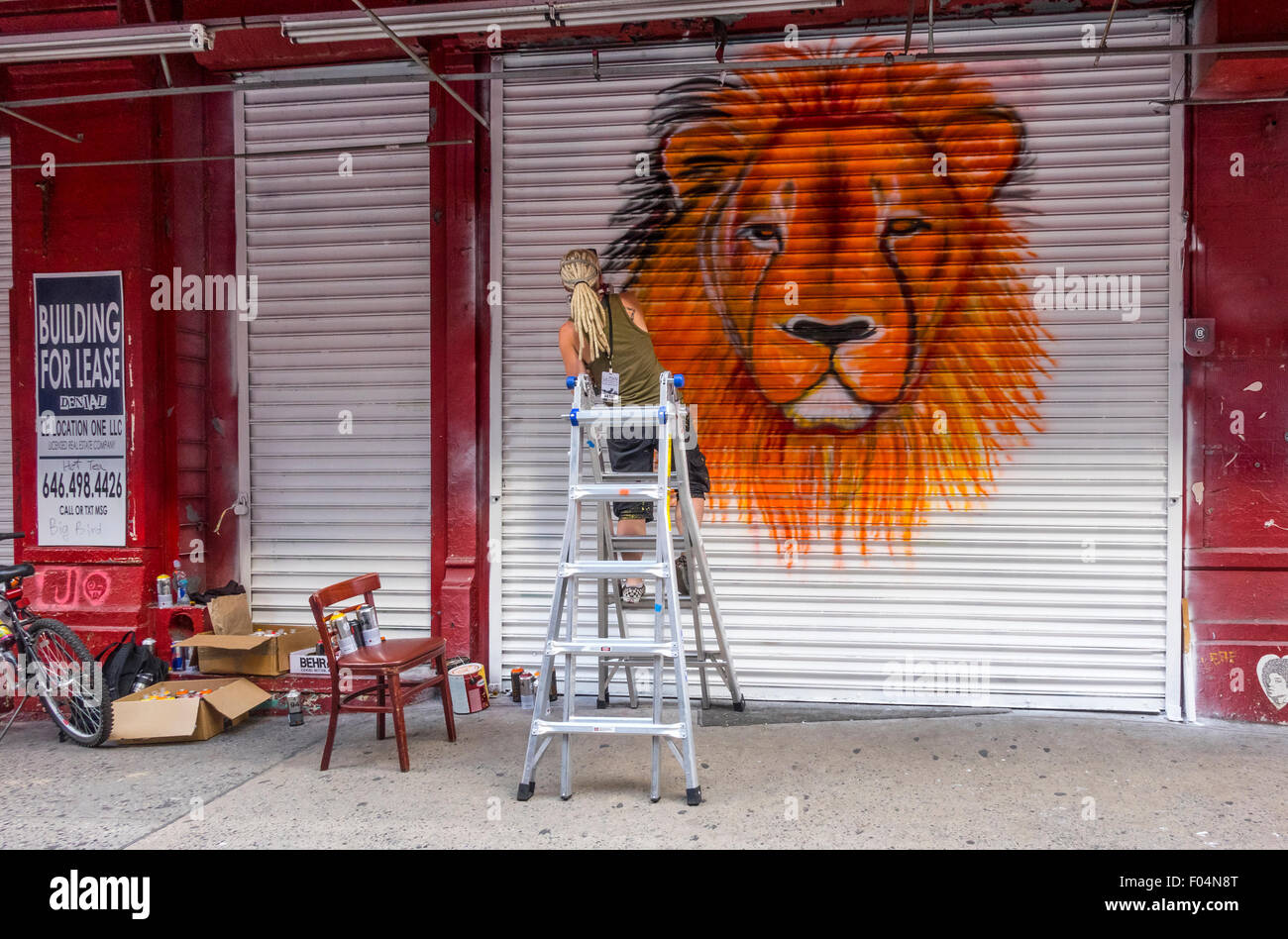 Lion street hi-res stock photography and images - Alamy