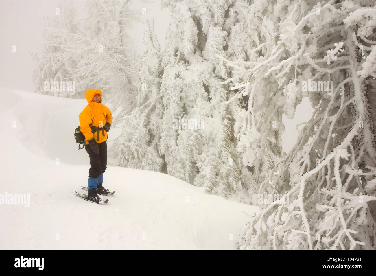 Crater Lake rim in winter storm, Crater Lake National Park, Oregon ...