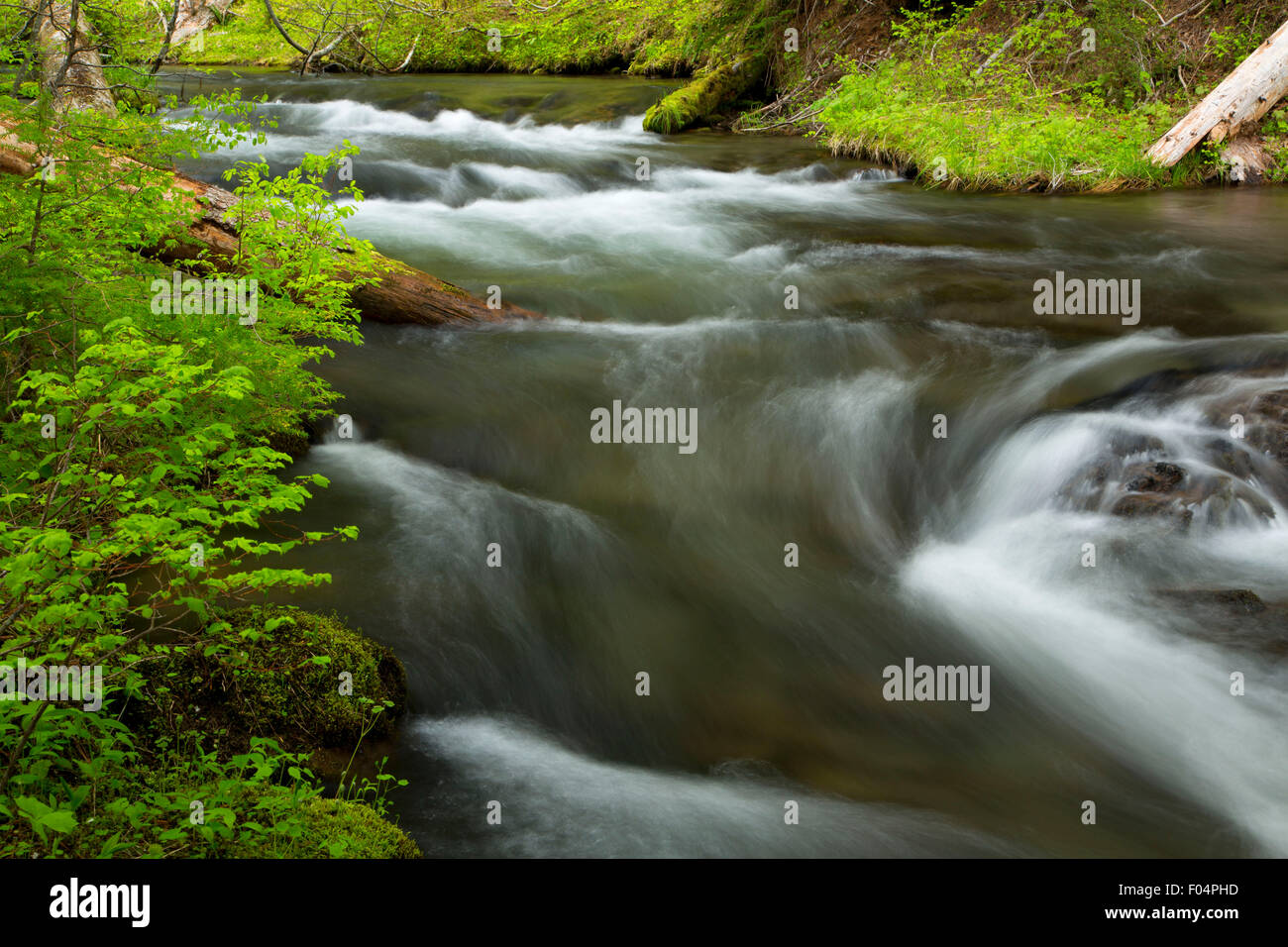 National Creek along National Creek Falls Trail, Rogue River National ...