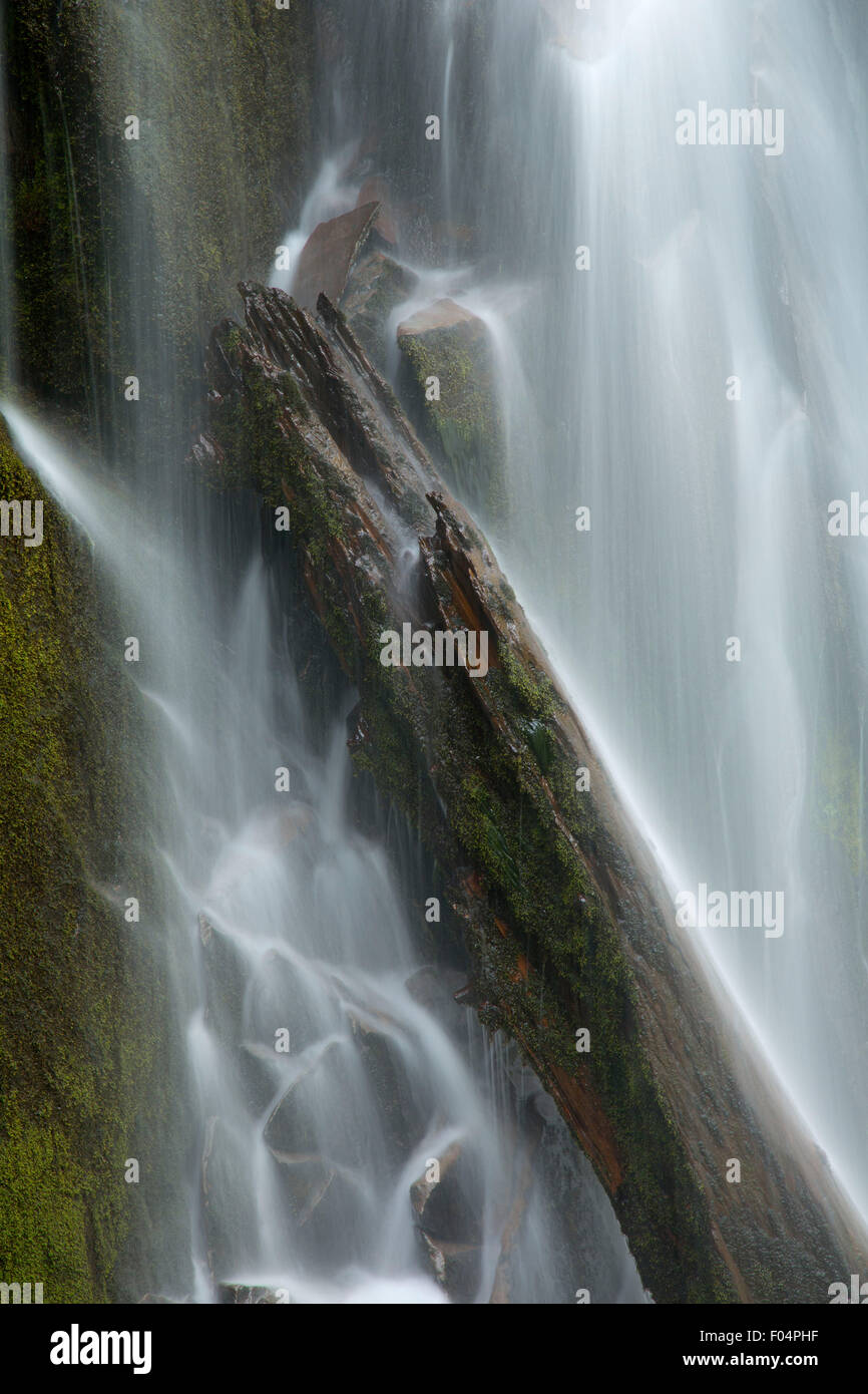 National Creek Falls, Rogue River National Forest, Oregon Stock Photo ...