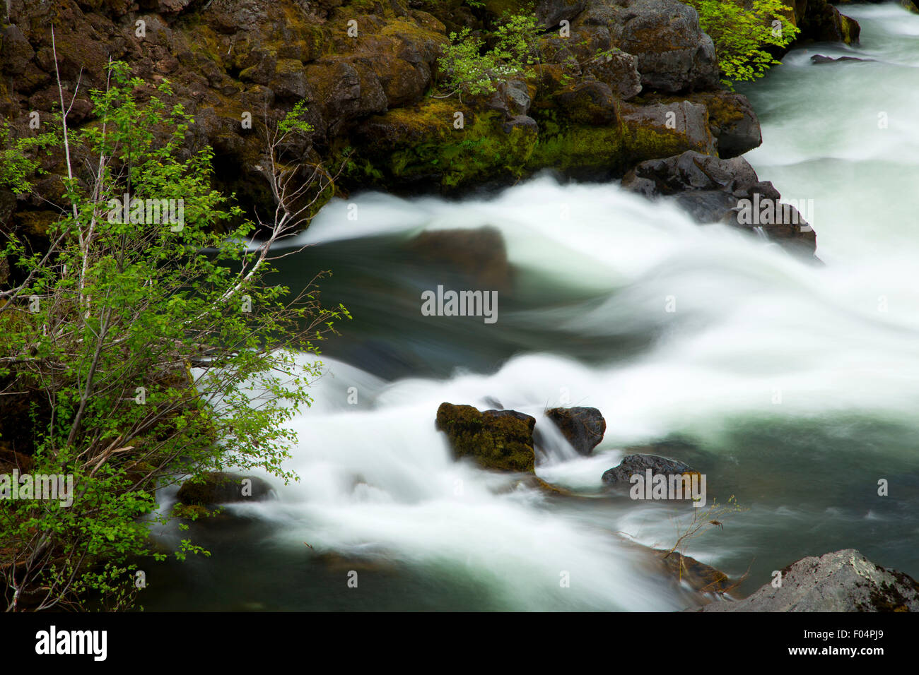 Natural Bridge outlet, Rogue Wild and Scenic River, Rogue River ...