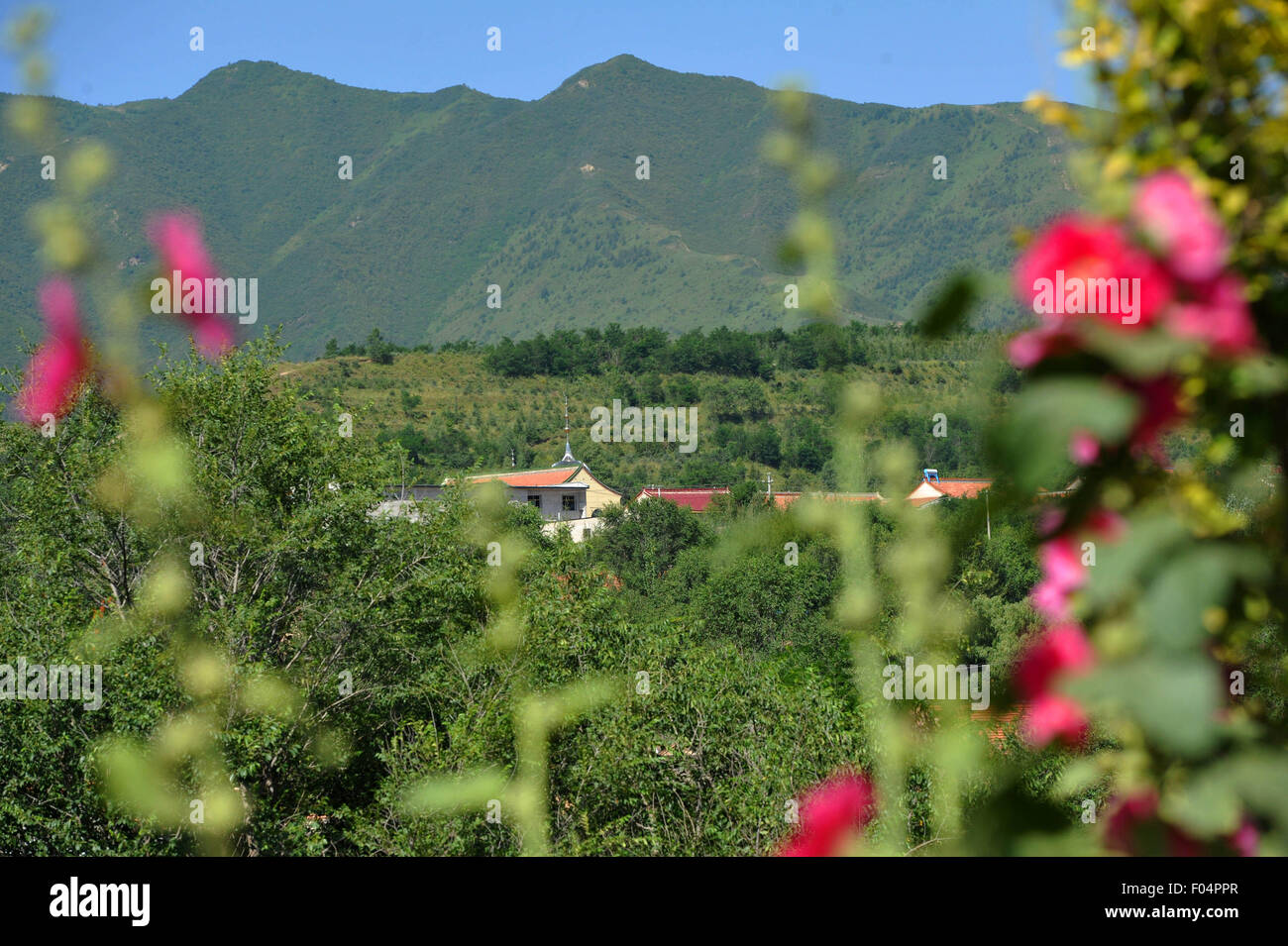 Yinchuan, China's Ningxia Hui Autonomous Region. 6th Aug, 2015. A ...
