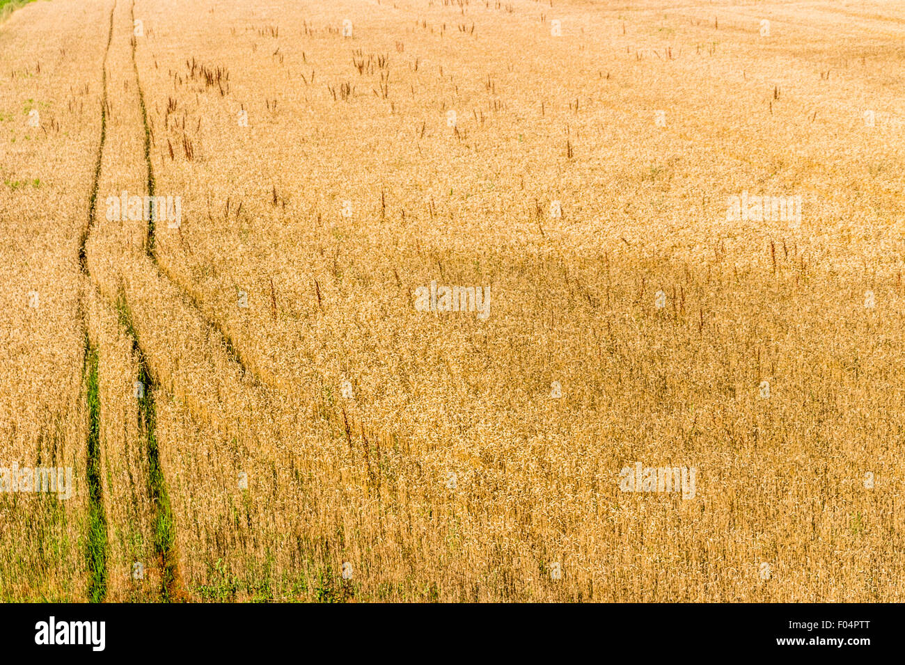 Parallel tracks hi-res stock photography and images - Alamy